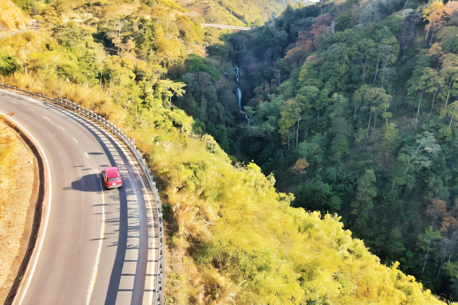 Seasonal leaf change turns Mang Den Pass forest in central Vietnam into ...